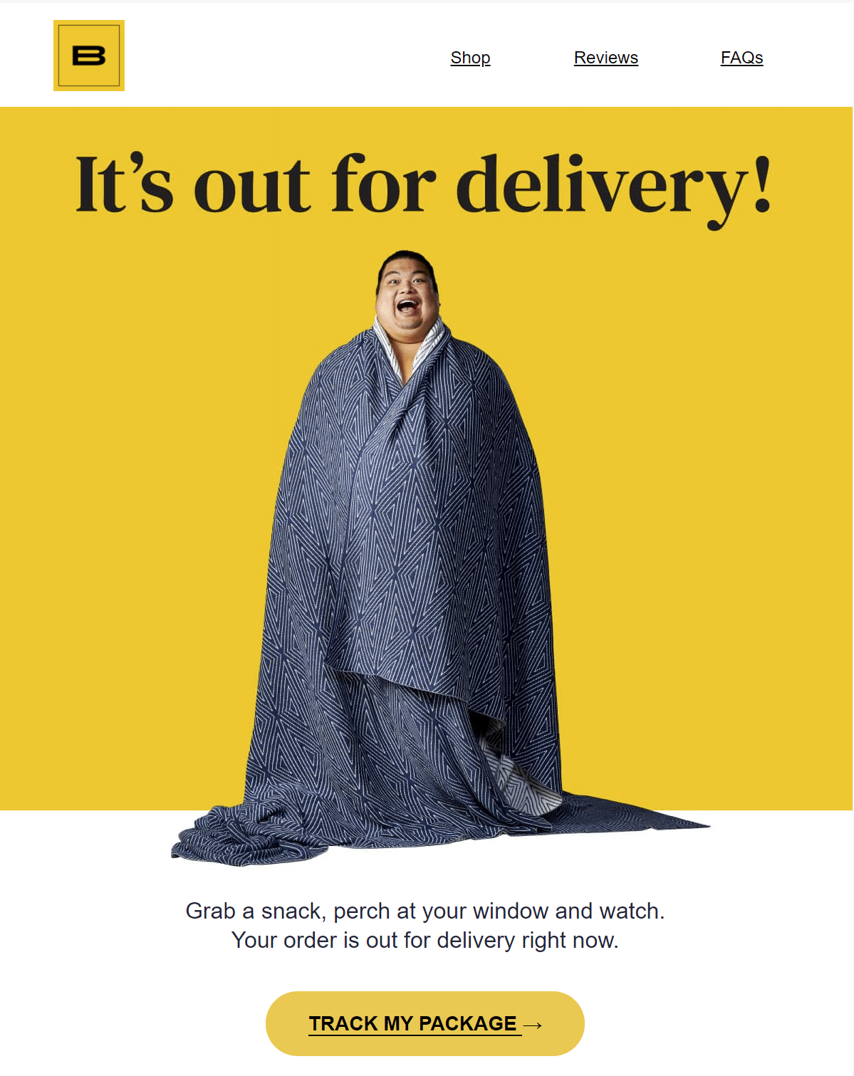 8 Tips From Live Marketing Campaign Examples Big Blanket Co Did Right