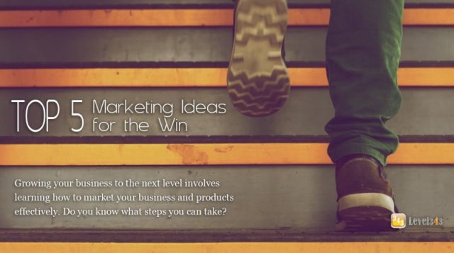 Top 5 Marketing Ideas for the Win | Marketing & SEO | Level343