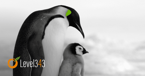 Penguin, Penguin, Who's Got the Penguin? Let's Throw a Link At It…